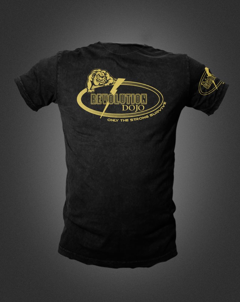 Revolution Dojo News