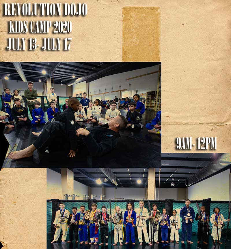 Revolution Dojo News